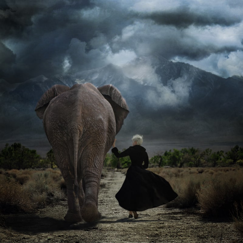 Beautiful surreal photographs by Trini Schultz | FREEYORK