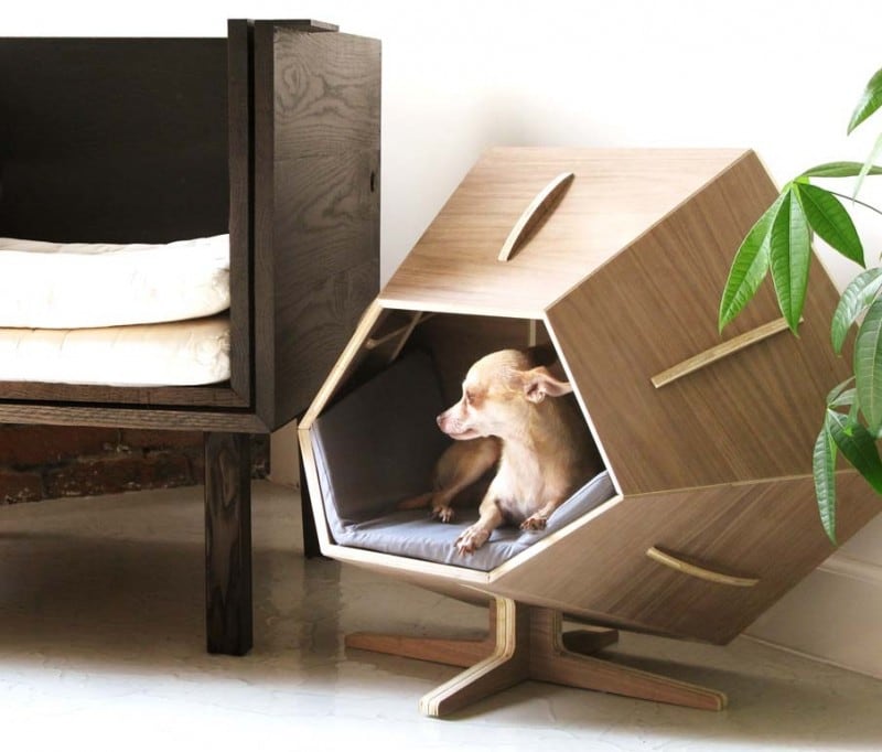 15 Coolest Houses You Wish Your Pet Had > FREEYORK