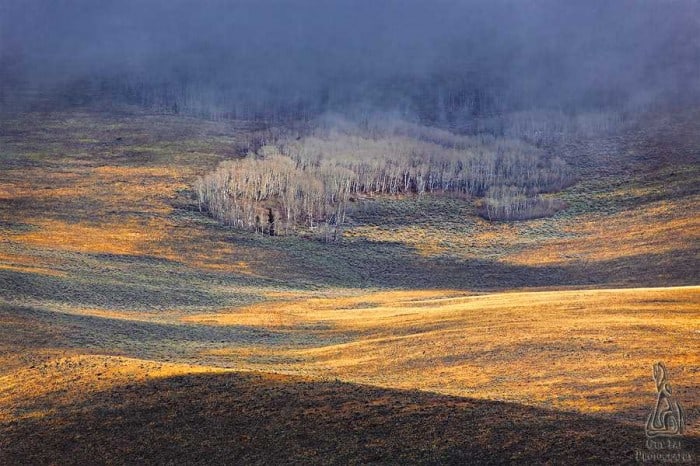 Colorful Landscapes by Guy Tal | FREEYORK