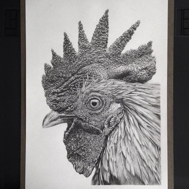 Monica Lee Creates Stunning Photo-Realistic Drawings with Just a Pencil ...
