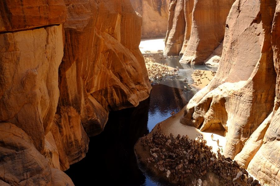 Guelta d’Archei – The Most Famous Permanent Water Source in the Ennedi ...