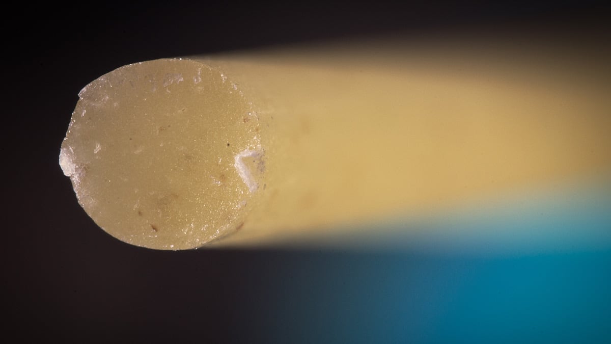 18 Extreme Close-Up Images of Everyday Objects | FREEYORK