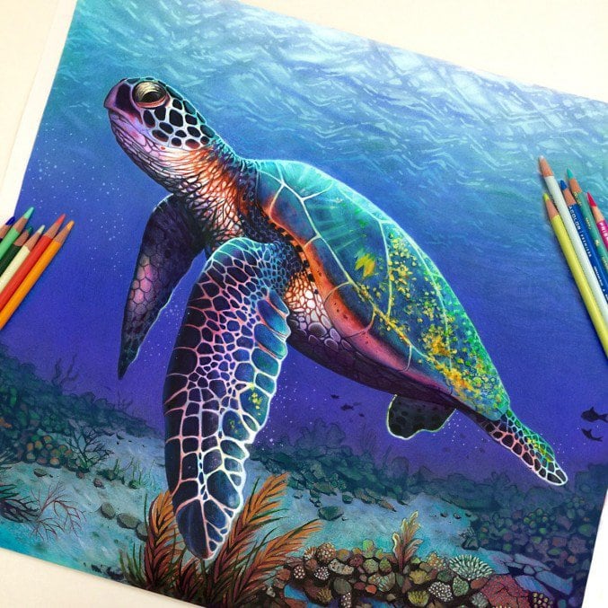 Splendid Realistic Color Pencil Drawings From 22-Year-Old Morgan ...
