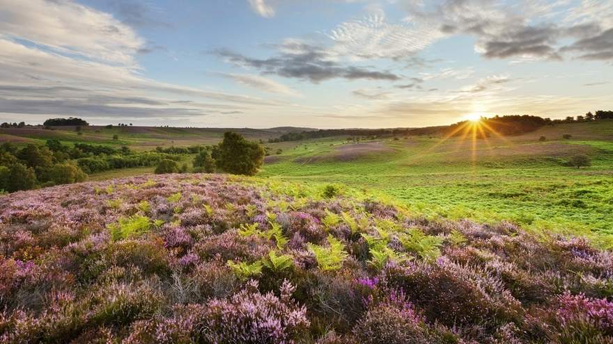 Top 20 Most Beautiful British Countryside Scenes | FREEYORK