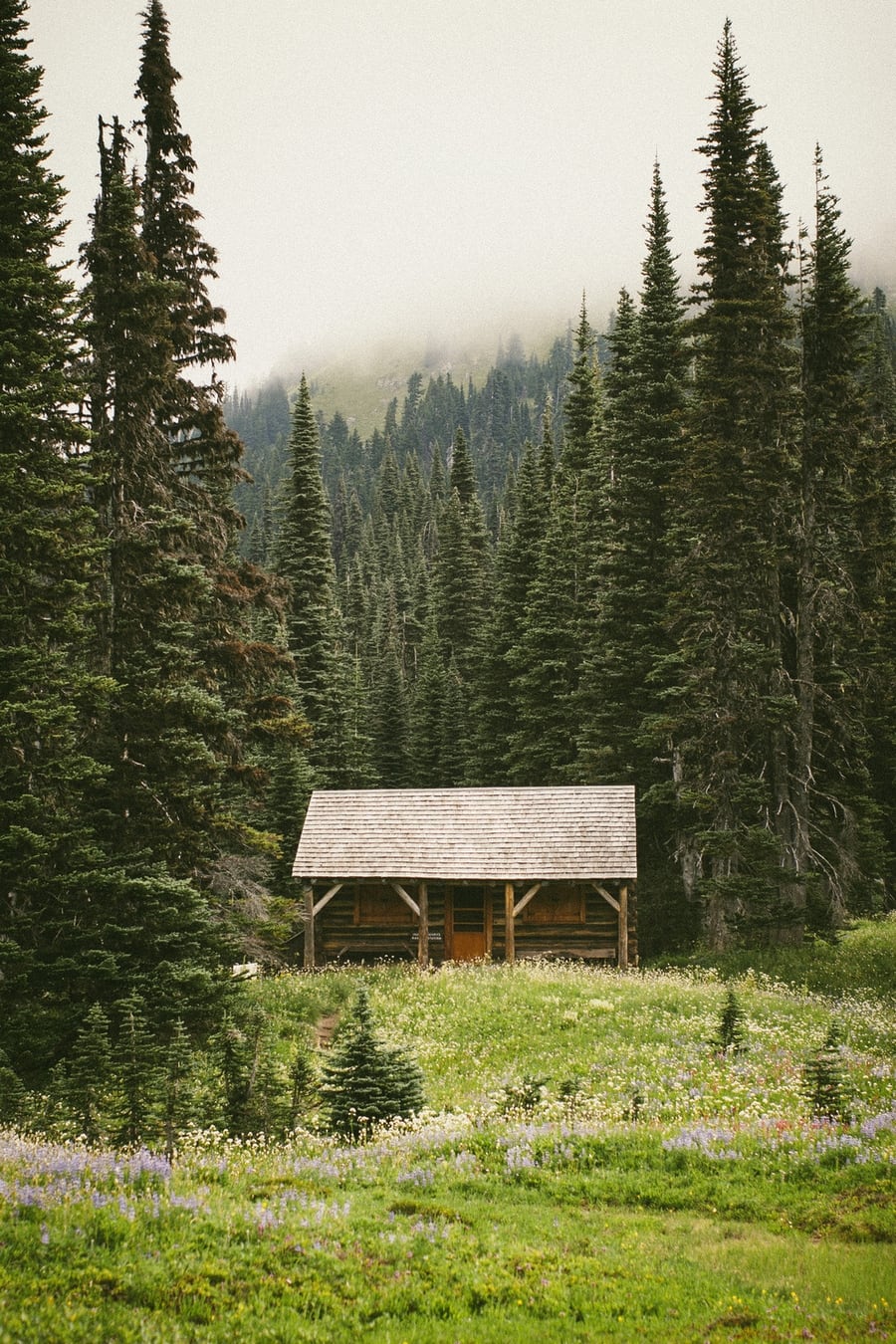The 35 Most Gorgeous Abandoned Cabins | FREEYORK