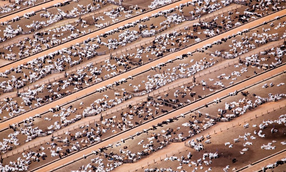 13 Powerful Photos Of Overpopulation And Overconsumption | FREEYORK