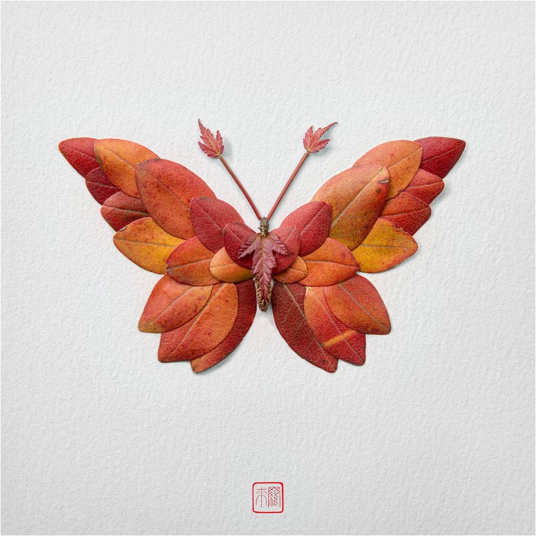 Fascinating Butterflies Moths Created from Seasonal Flowers by Raku ...